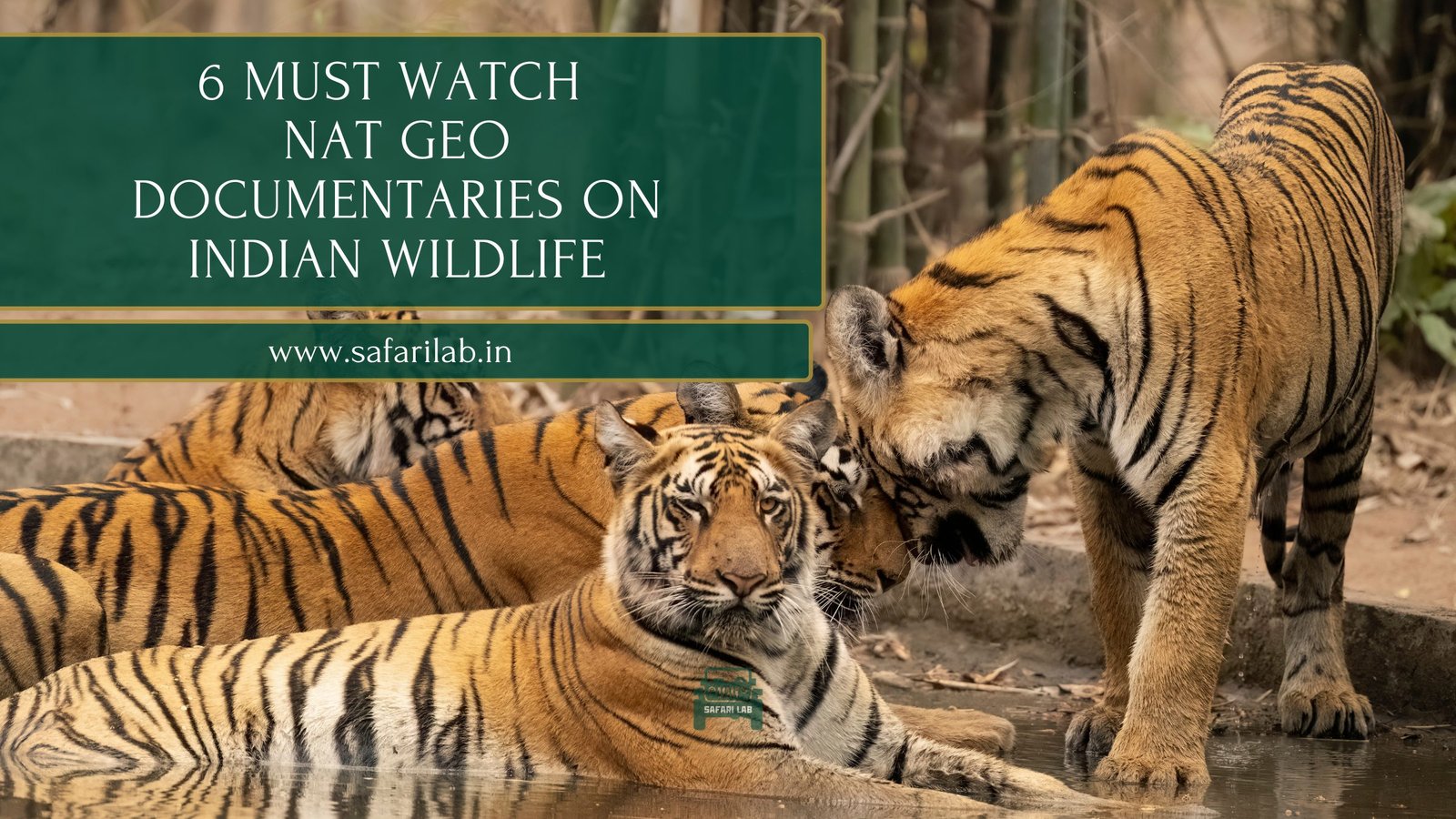 Six Must Watch National Geographic Documentaries on India's Wildlife ...