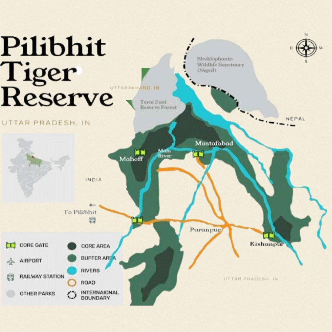Pilibhit Tiger Reserve - Safari Lab | Tiger Safari in India | Wildlife ...
