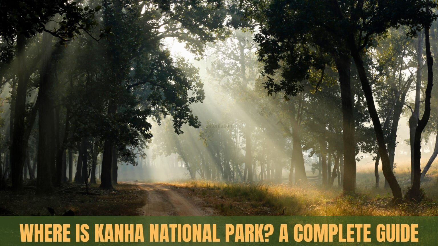 Where is Kanha National Park - A Complete Guide - Safari Lab | Tiger ...